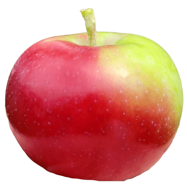 Picking Calendar - Apple Picking Season at the Farm | Apple Holler