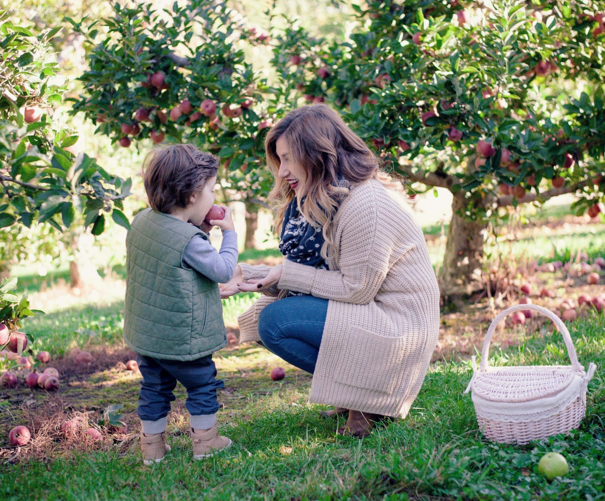 Picking Calendar - Apple Picking Season at the Farm | Apple Holler